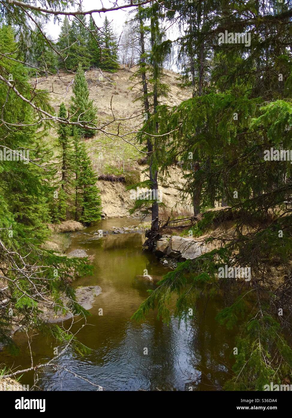 Willian Dagnal Wilderness Park, Silver Creek, Skunk Hollow, coal mining ...