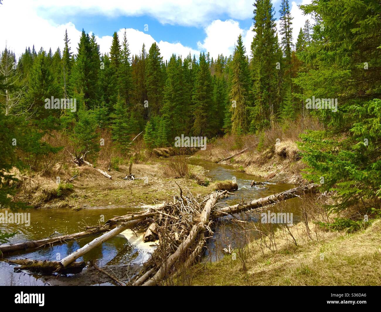 Willian Dagnal Wilderness Park, Silver Creek, Skunk Hollow, coal mining ...