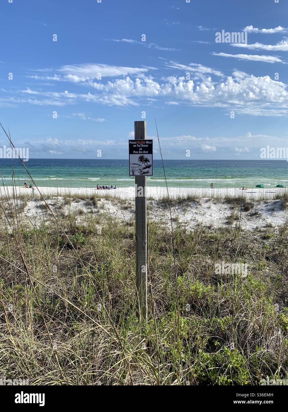 Sign protecting the grassy sand dunes on the beach with view of emerald ...