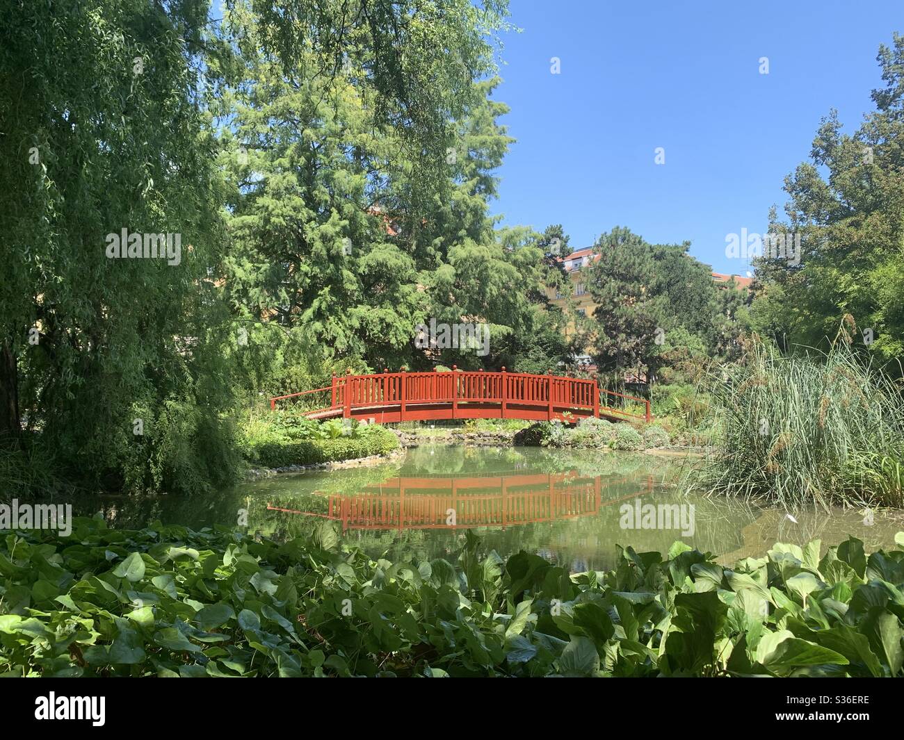 Botanical garden bridge hi-res stock photography and images - Alamy