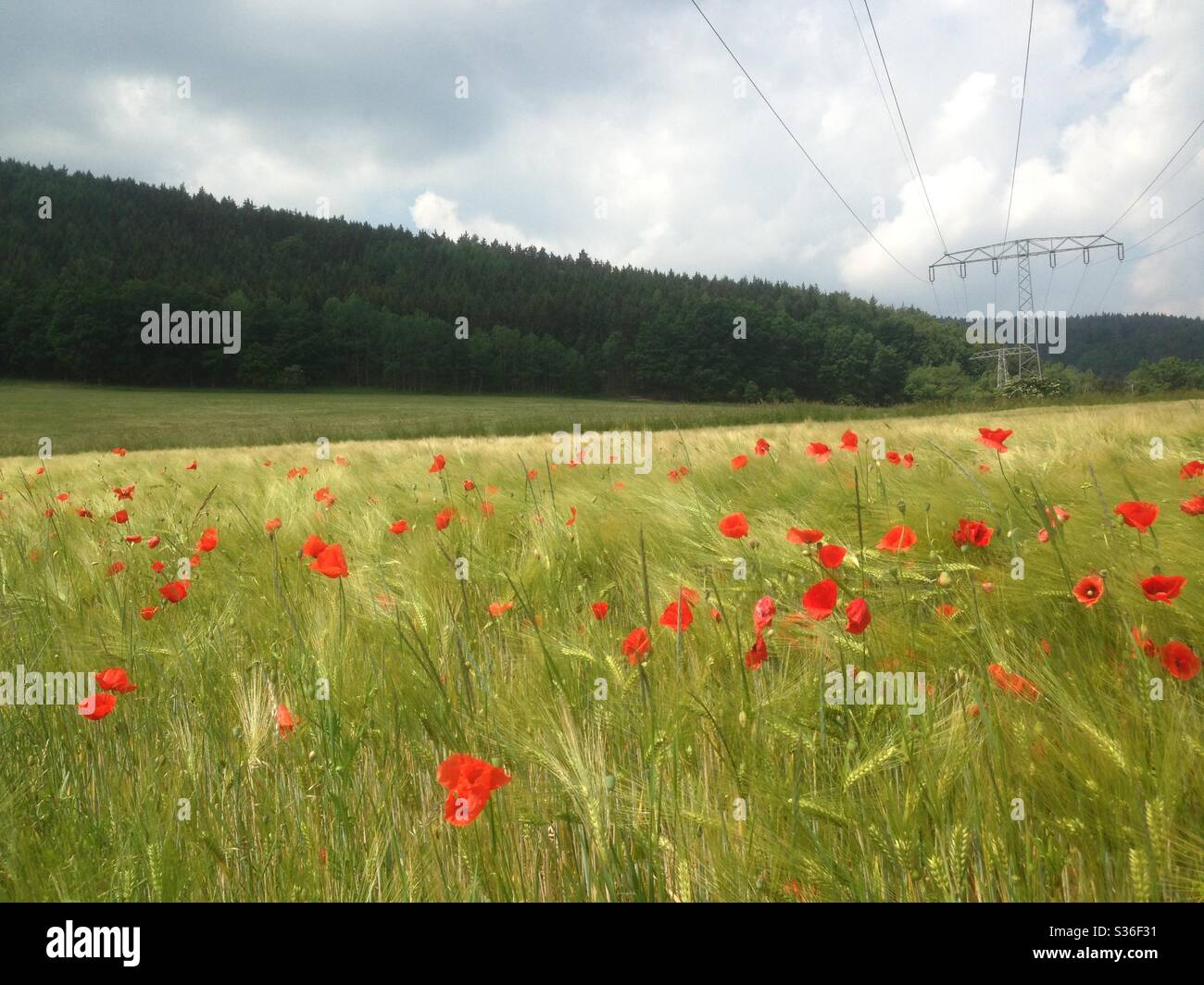 Salfeld hi-res stock photography and images - Alamy