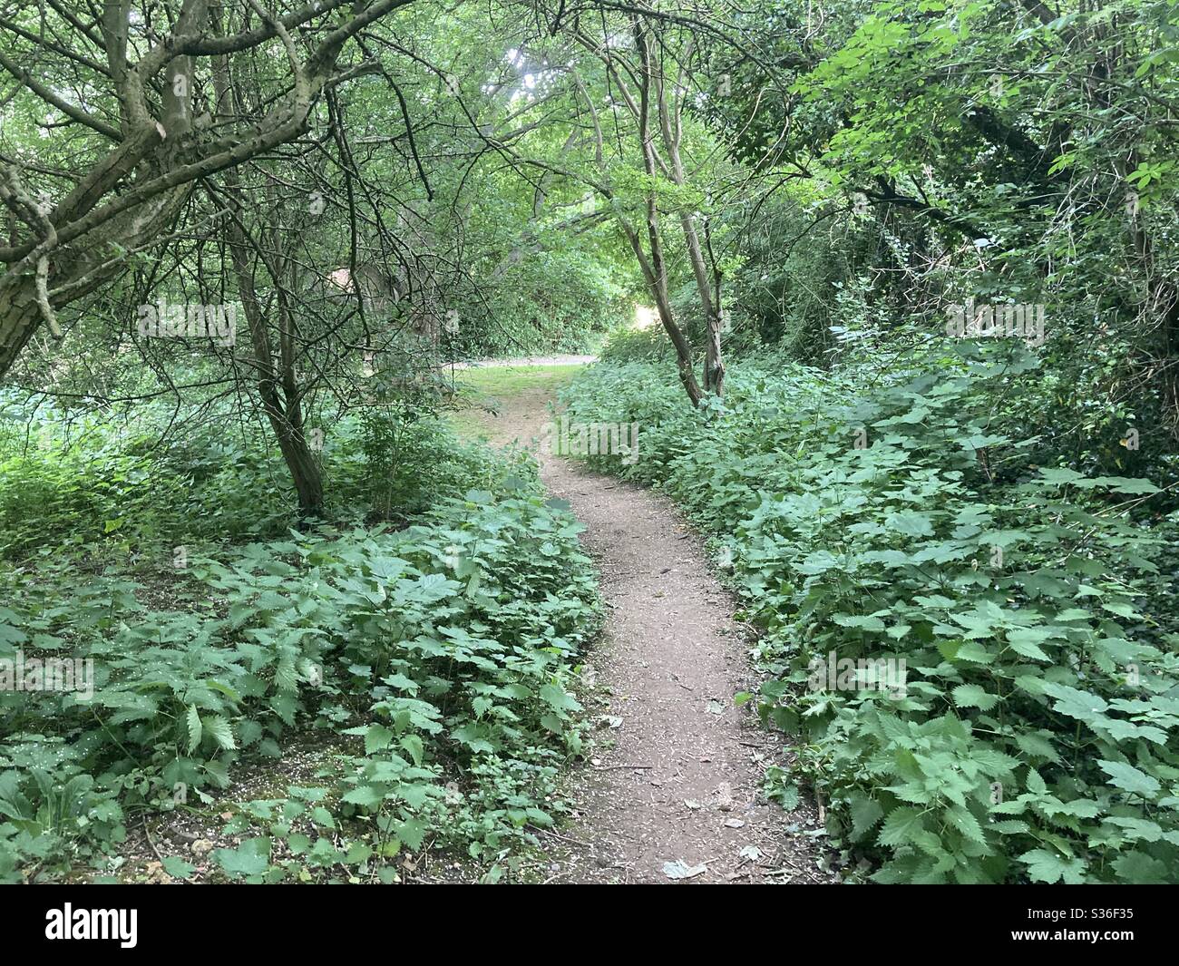 Pocket park hi-res stock photography and images - Alamy