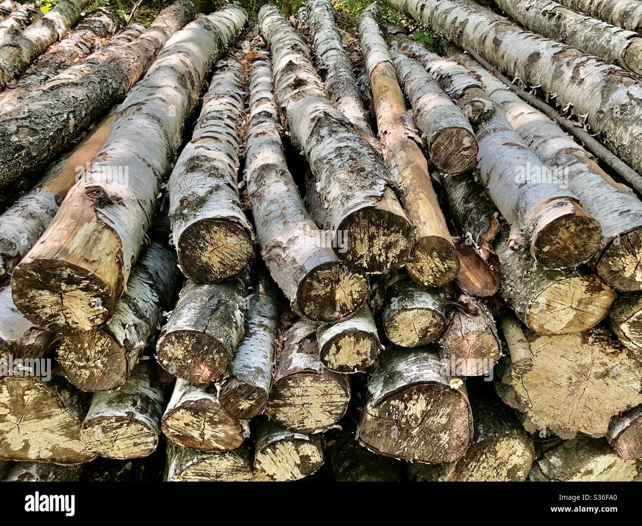 Timber collection hi-res stock photography and images - Alamy