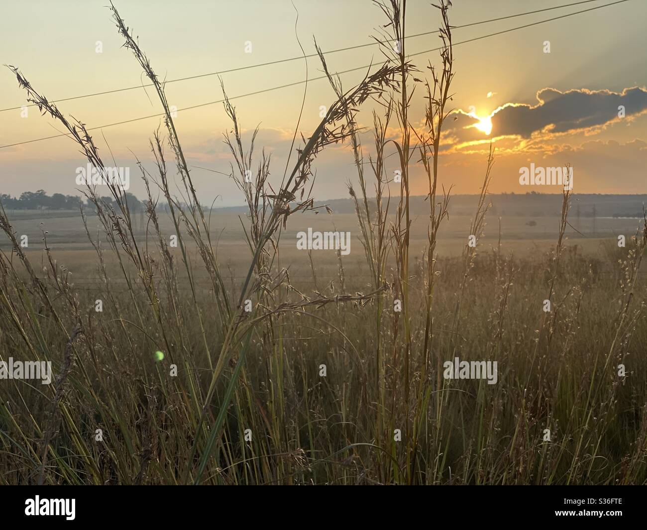 Highveld High Resolution Stock Photography and Images - Alamy