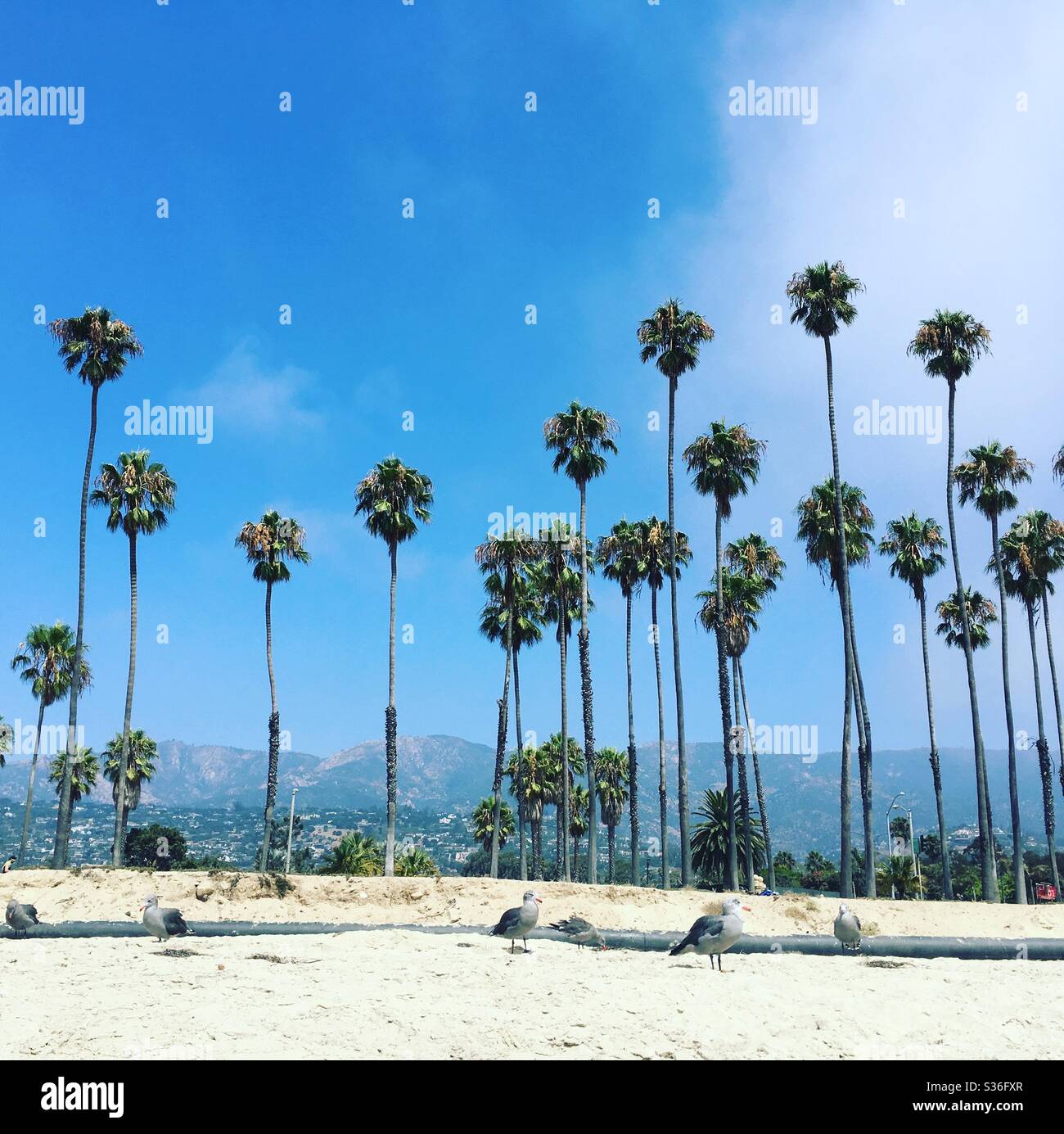 Santa barbara life hi-res stock photography and images - Alamy