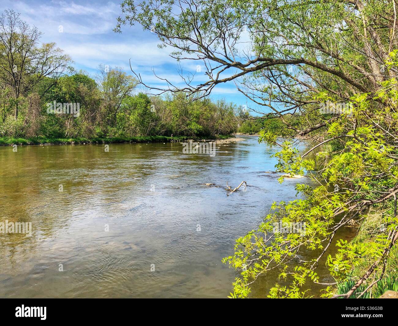 The Humber River in Toronto, Canada Stock Photo - Alamy