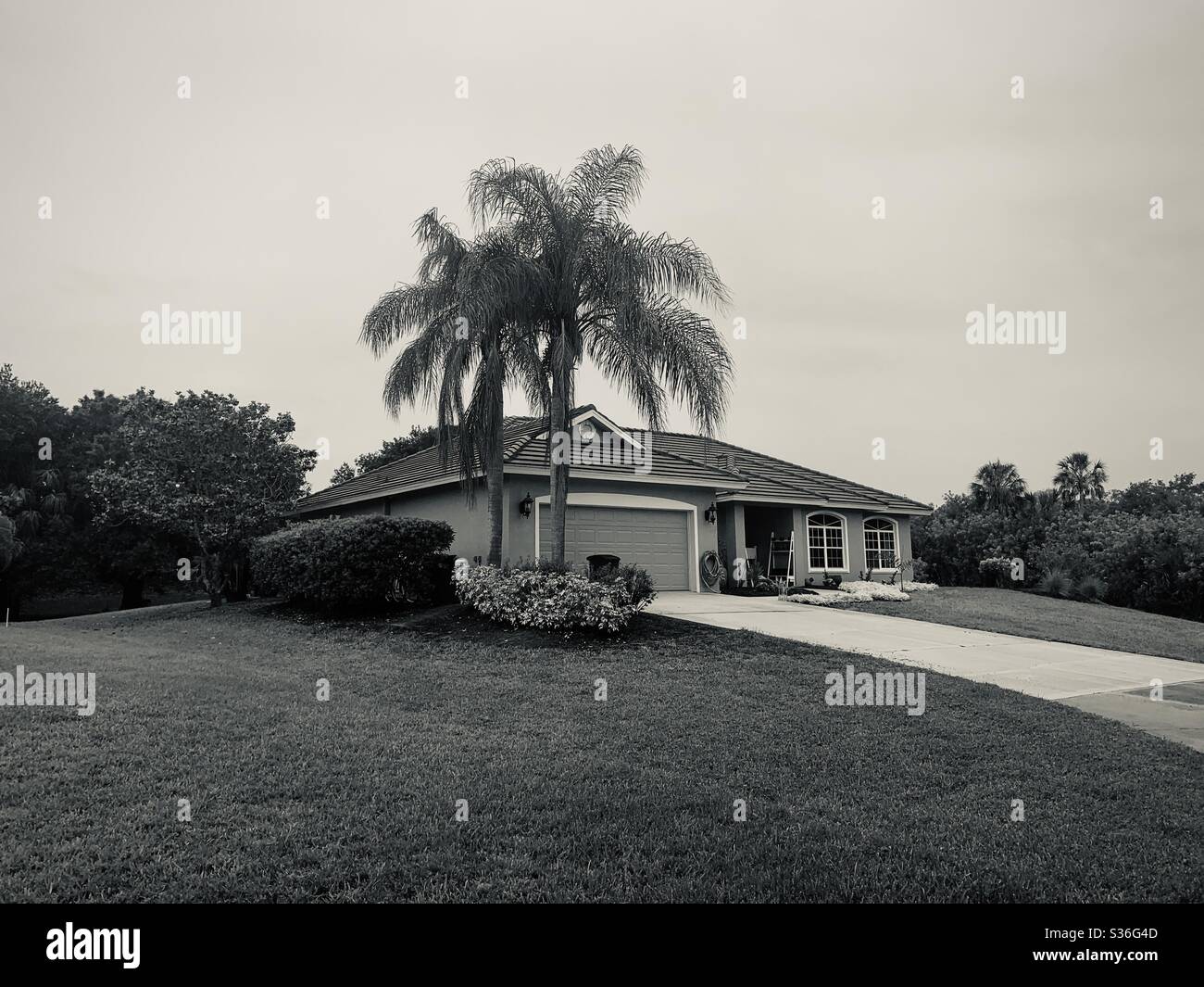 Driveway palm tree hi-res stock photography and images - Alamy