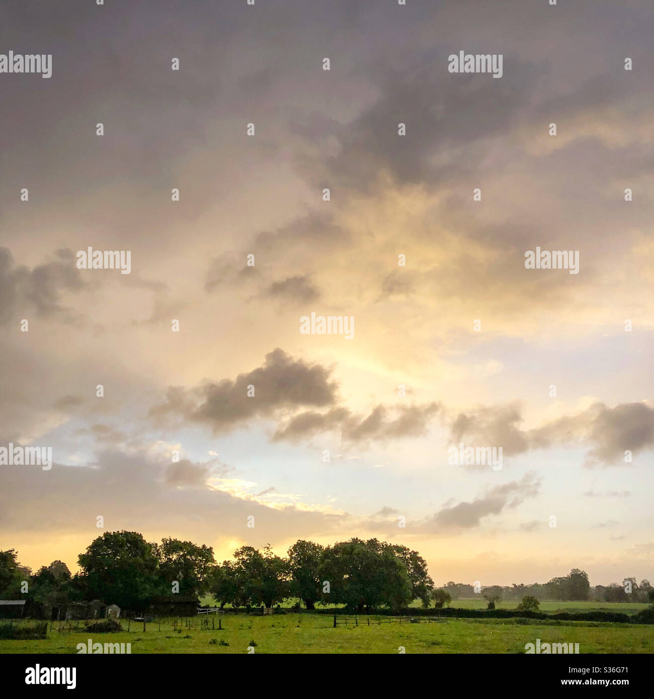 Early morning view Stock Photo - Alamy