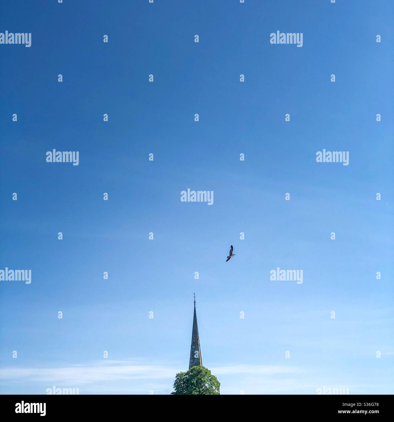 Spire poking through the tree Stock Photo - Alamy