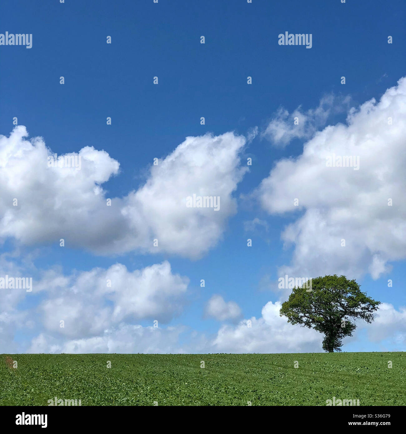 Clouds blowing hi-res stock photography and images - Alamy