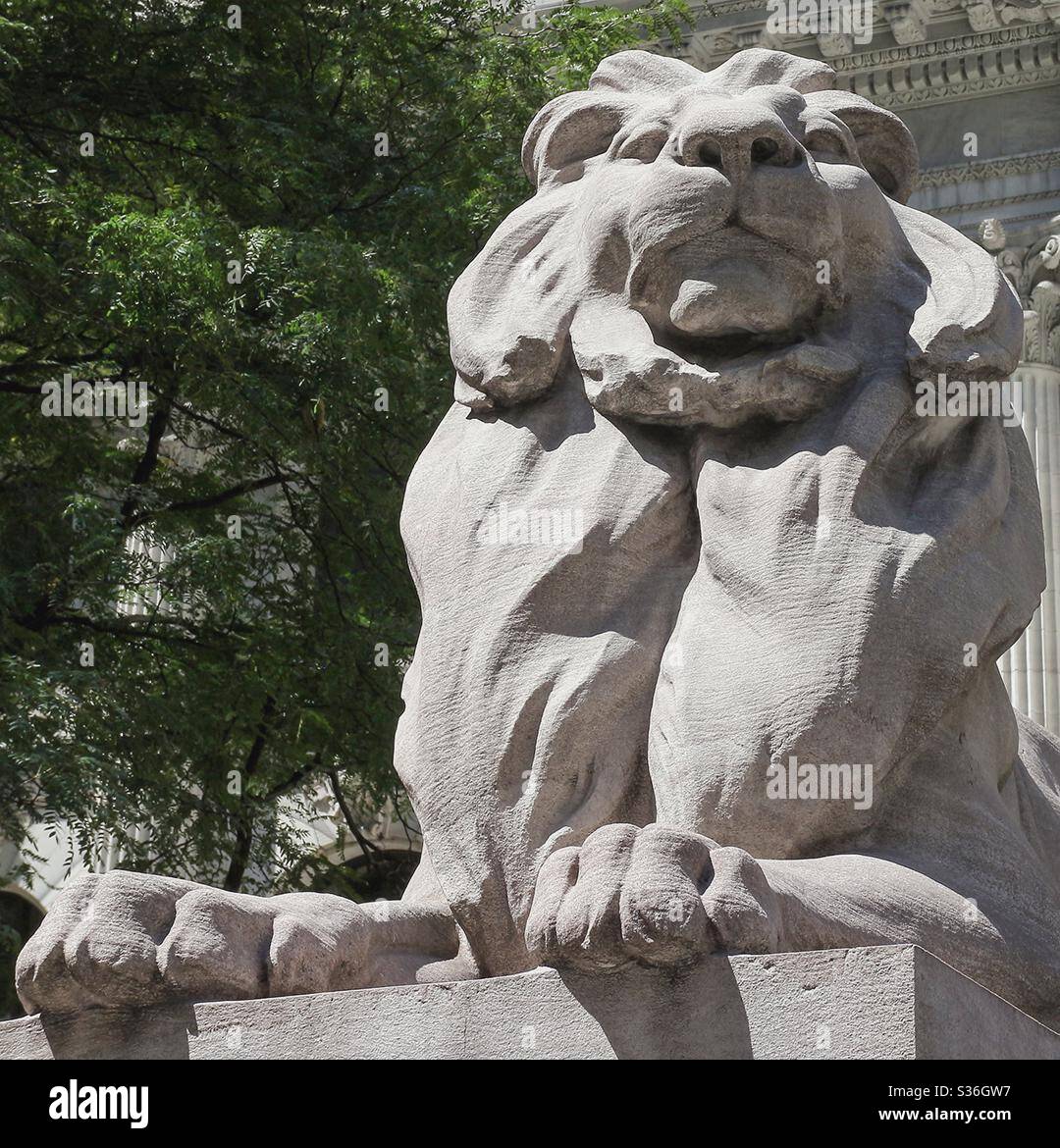 New York Library Lion Stock Photo - Alamy