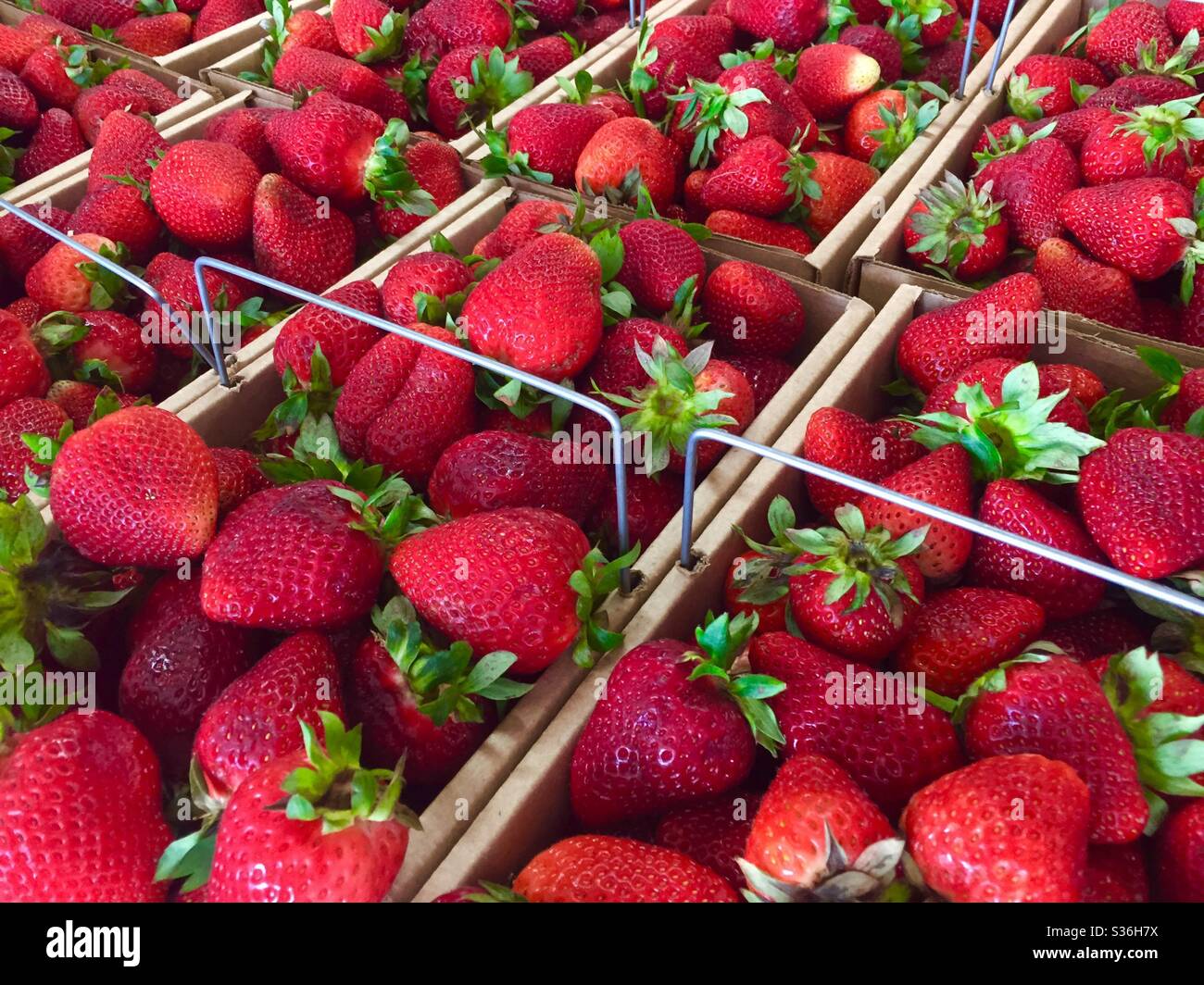 Jaemor farms strawberries hi-res stock photography and images - Alamy