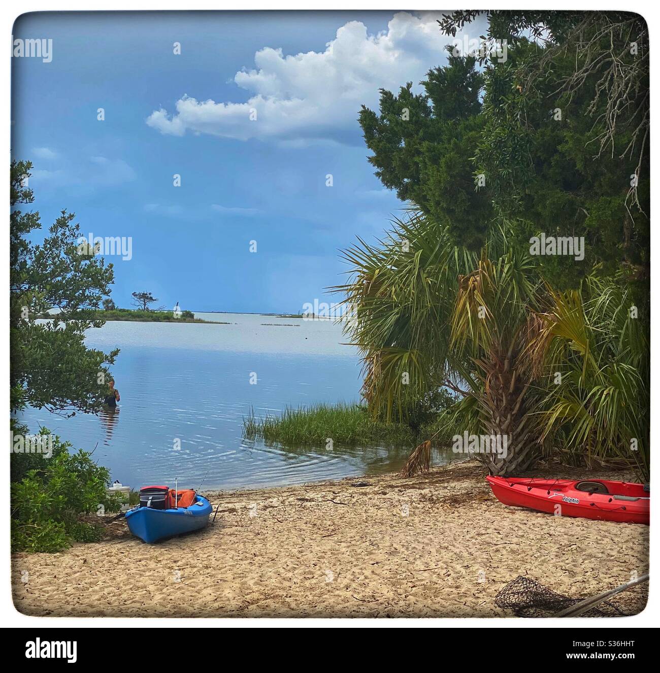 The West Coast of Florida Stock Photo - Alamy