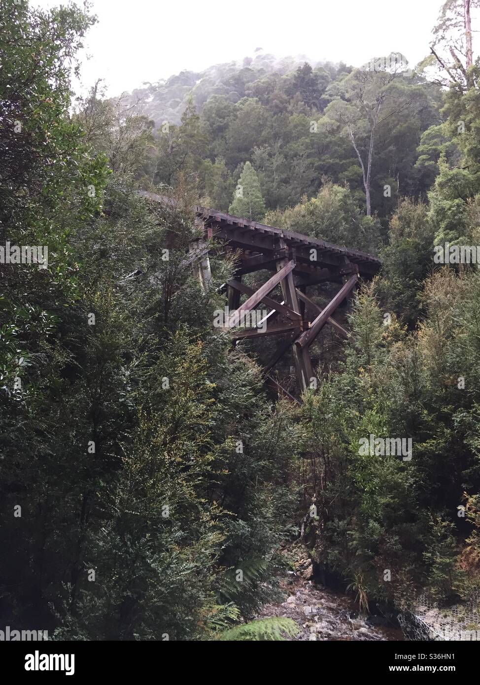West coast wilderness railway hi-res stock photography and images - Alamy