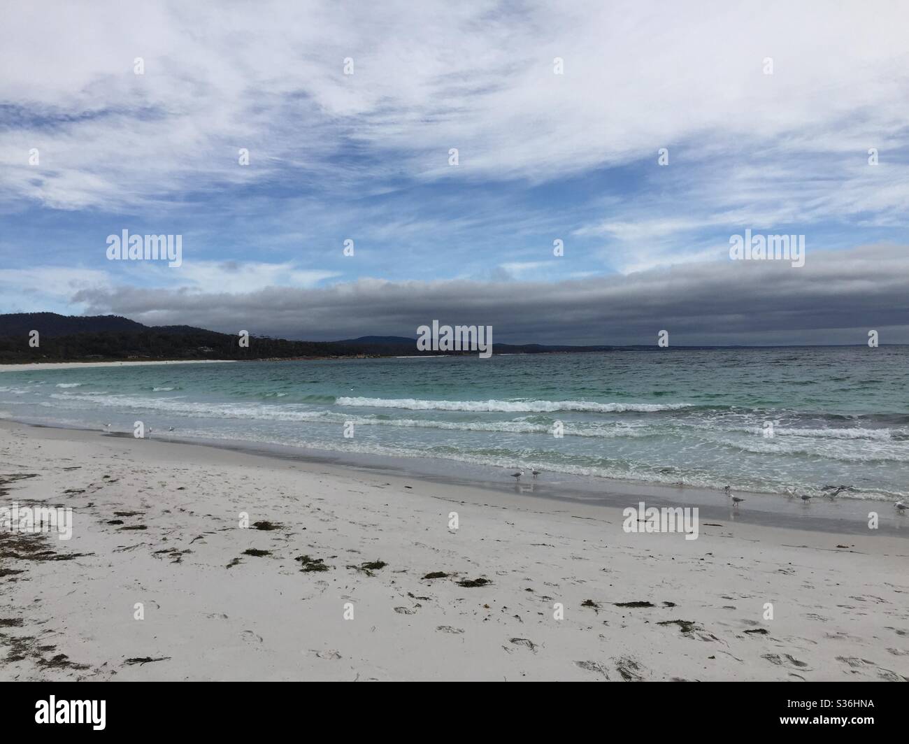 Tasmanian binalong bay conservation area hi-res stock photography and images - Alamy