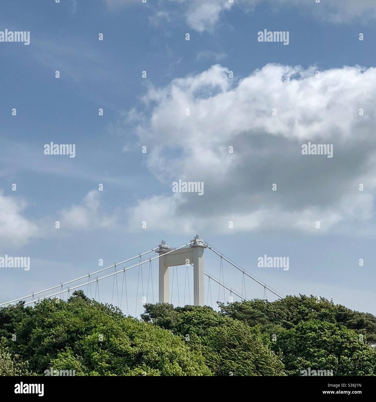 Bridge poking through hi-res stock photography and images - Alamy