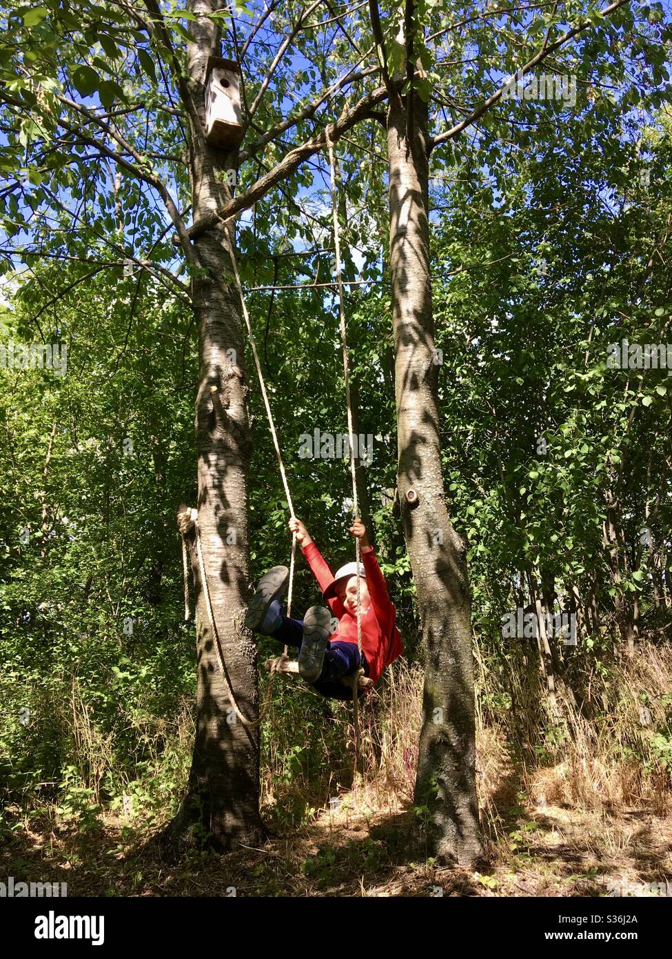 Fixed to tree hi-res stock photography and images - Alamy