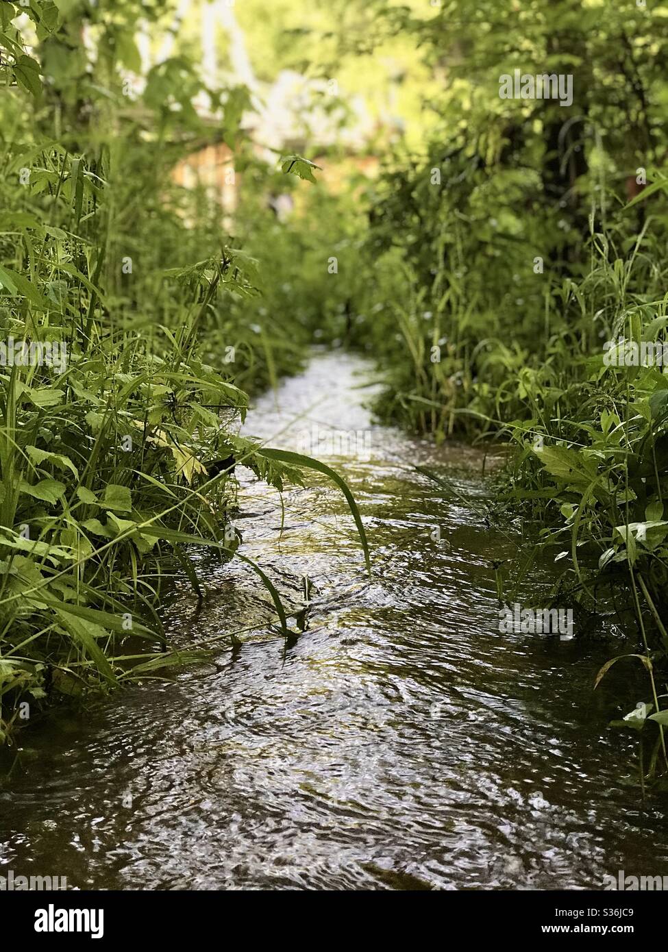 Let it flow hi-res stock photography and images - Alamy