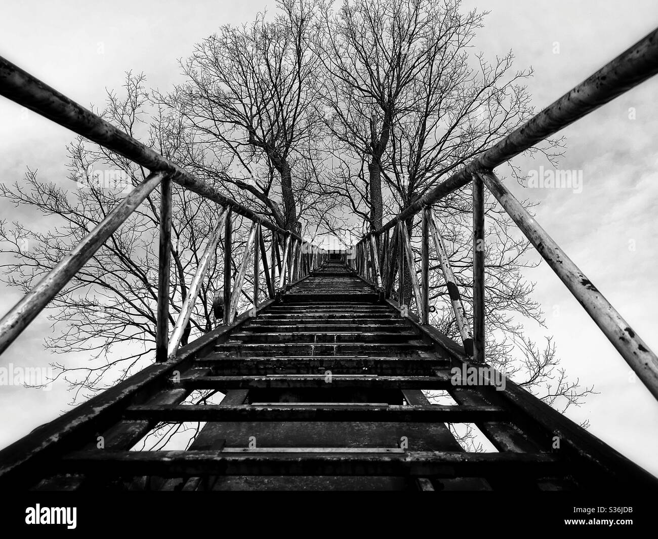 Ladder to heaven Stock Photo - Alamy