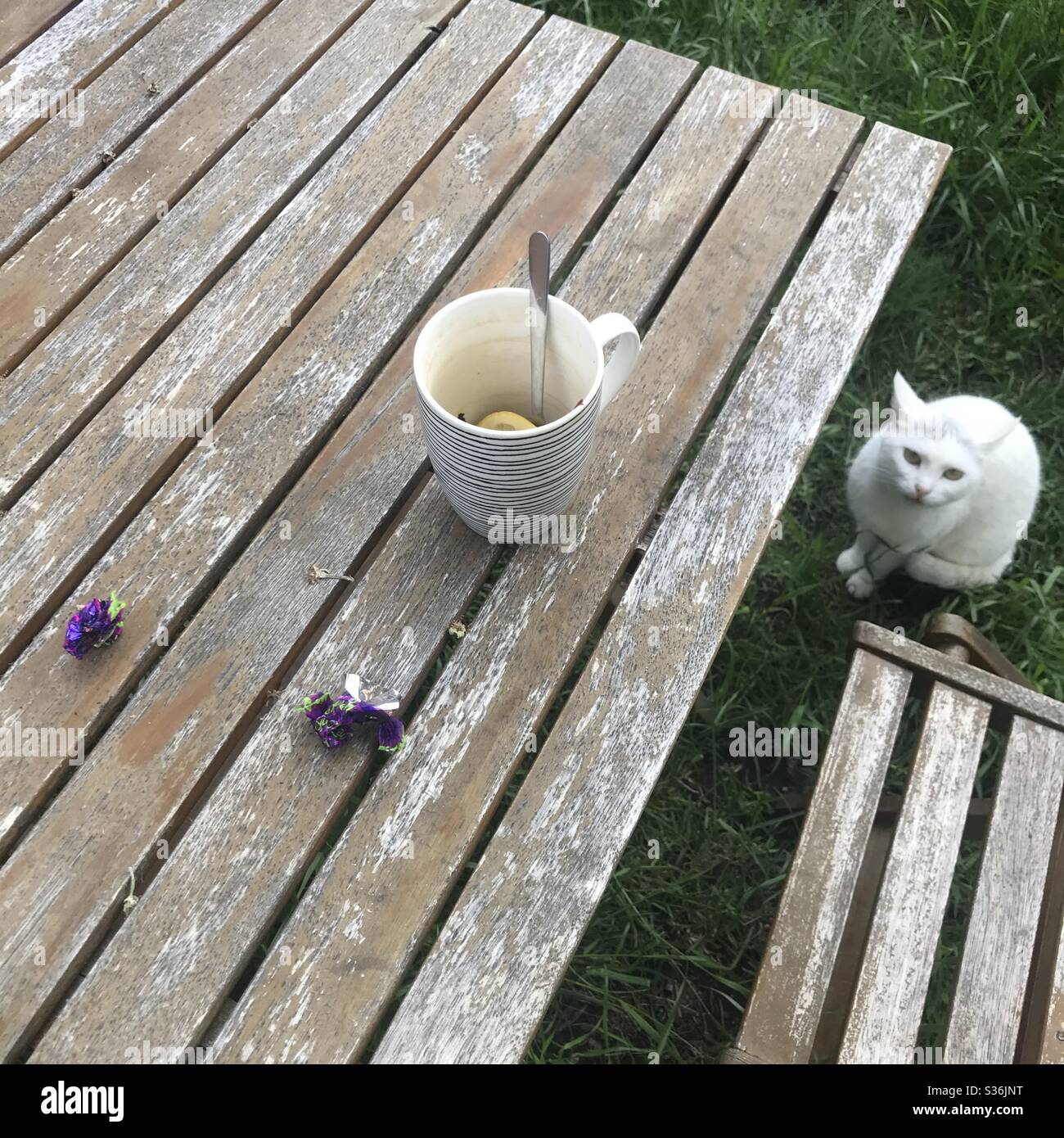 Tea garden scene hi-res stock photography and images - Alamy