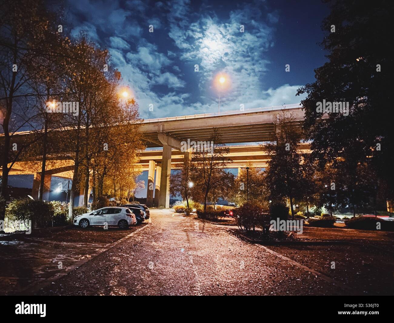 Park under a bridge hi-res stock photography and images - Alamy