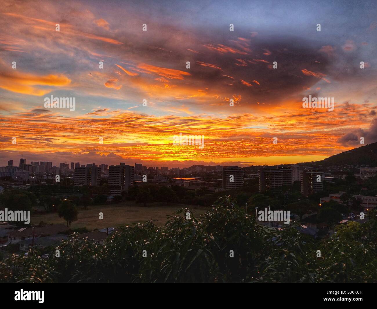 Hawaii orange hi-res stock photography and images - Alamy