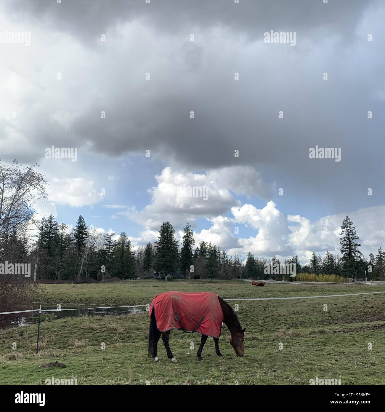 Pasture blanket hi-res stock photography and images - Alamy