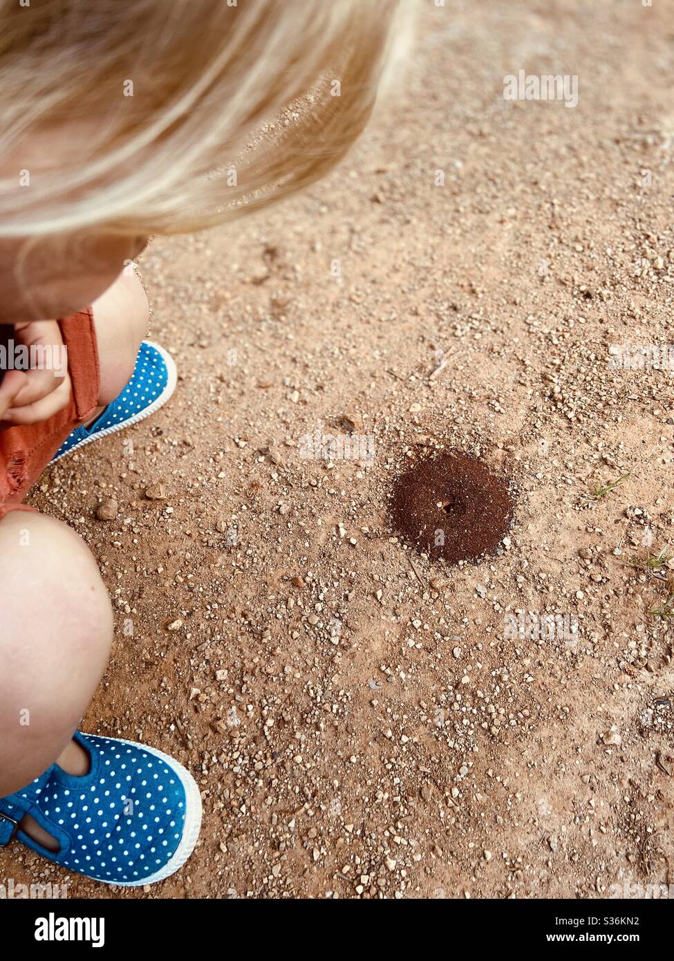 Kid in nature hi-res stock photography and images - Alamy