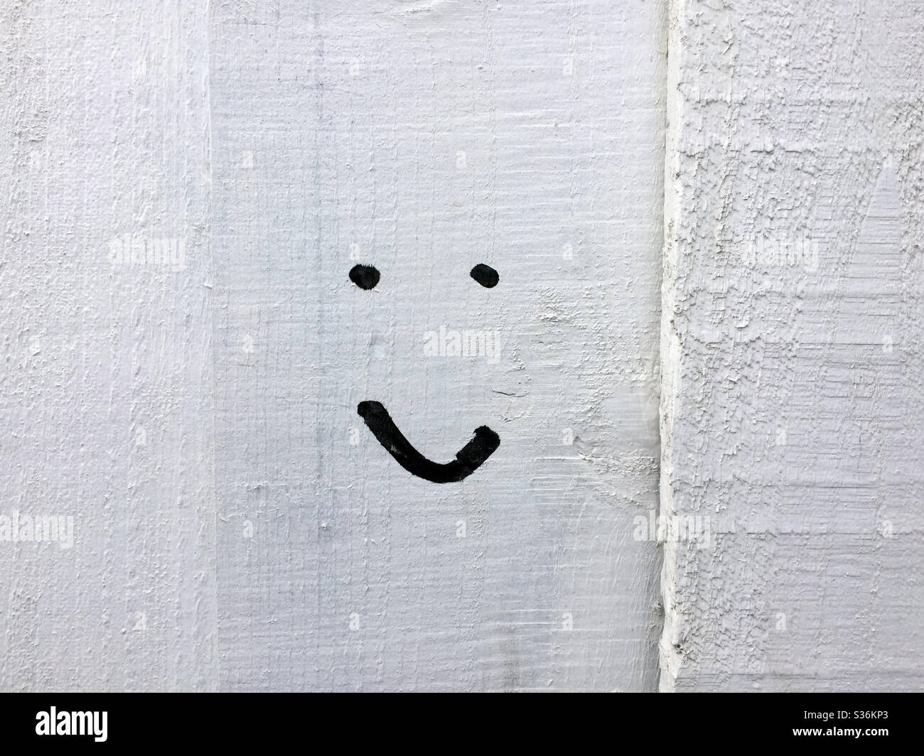 Black Pen Face Drawings