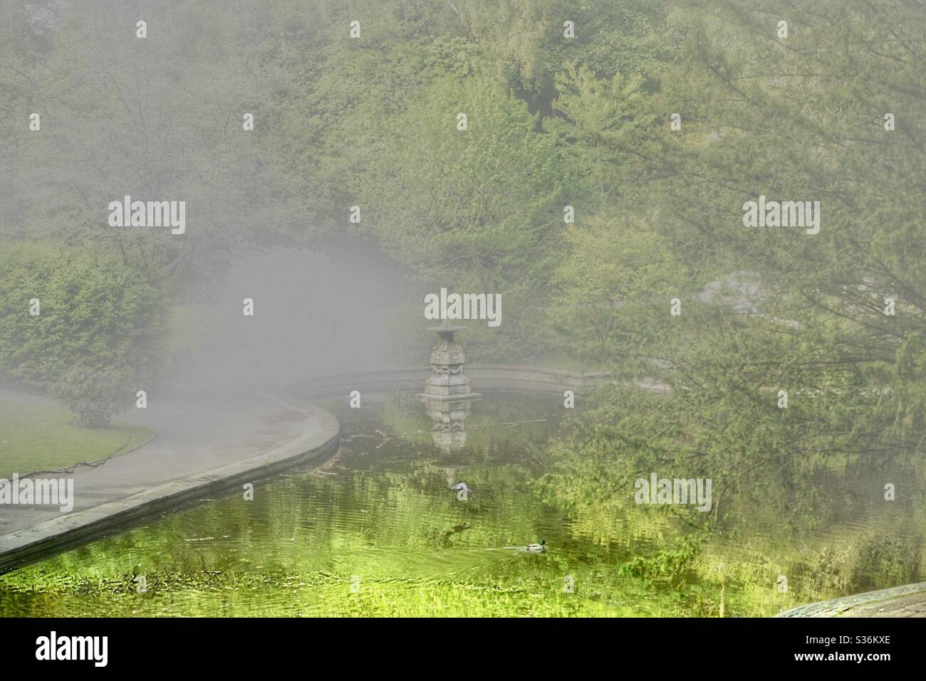 Pond form hi-res stock photography and images - Alamy