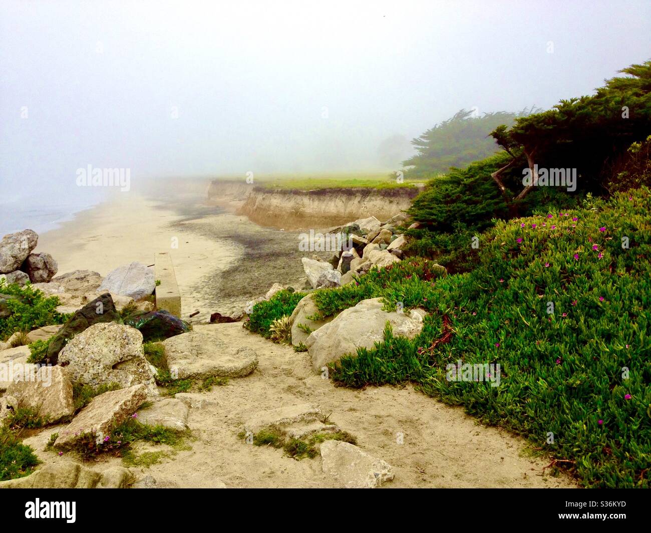 Half moon bay in fog Stock Photo - Alamy
