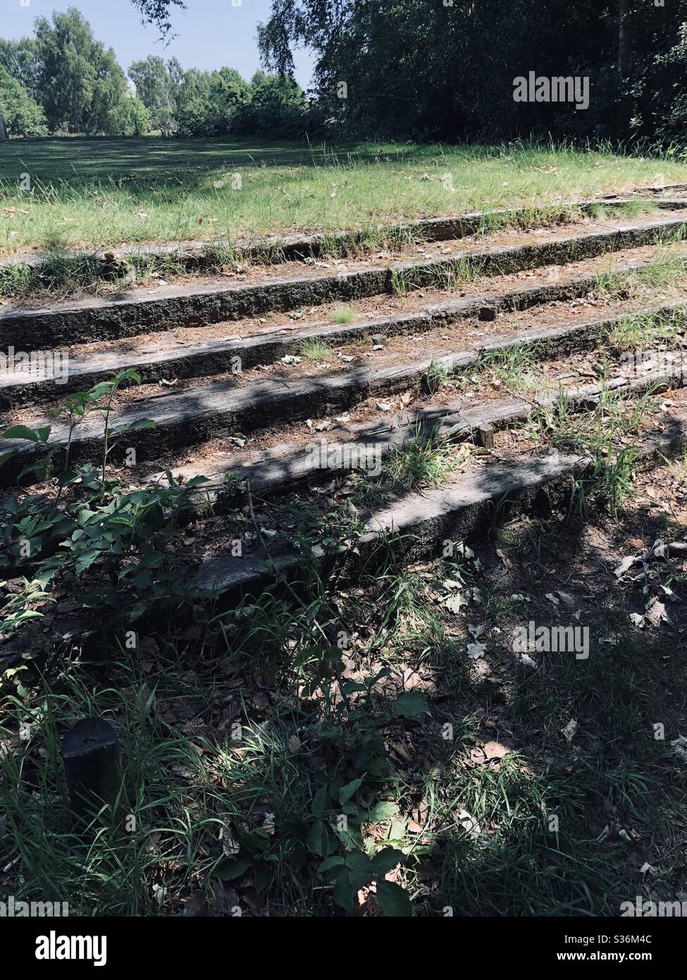 Steps in the park Stock Photo - Alamy