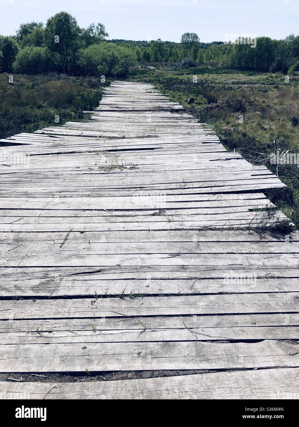 Boardwalk in the park hi-res stock photography and images - Alamy