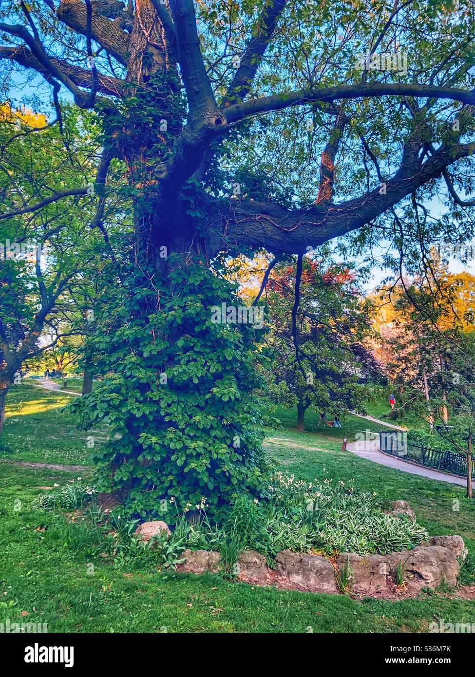 High Park in Toronto, Canada Stock Photo - Alamy