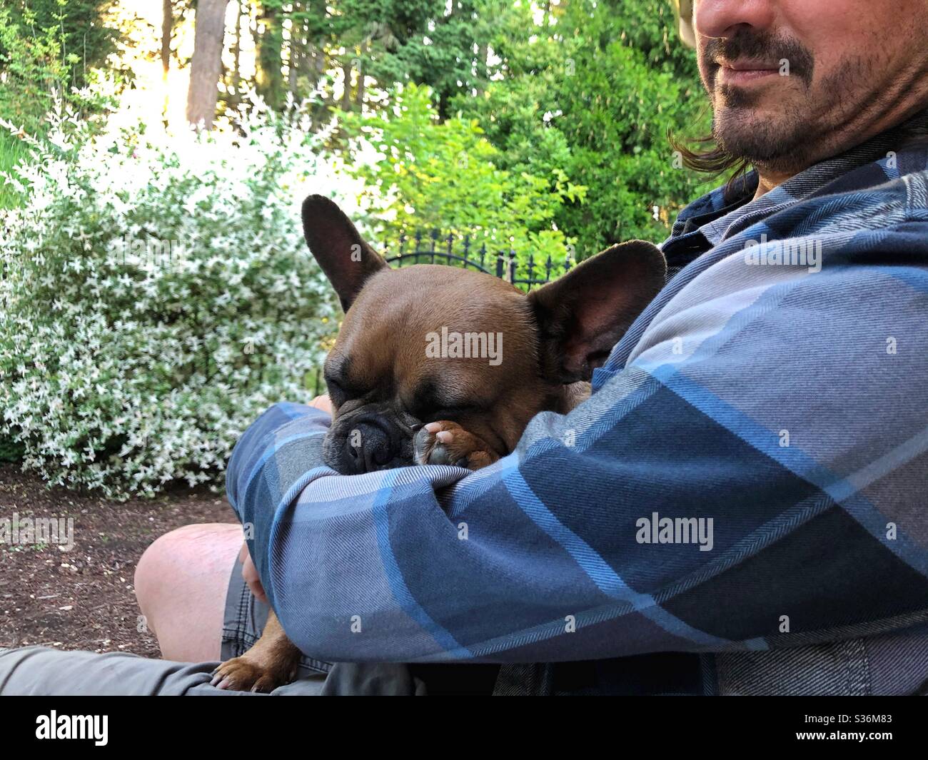 Bulldog man hi-res stock photography and images - Alamy