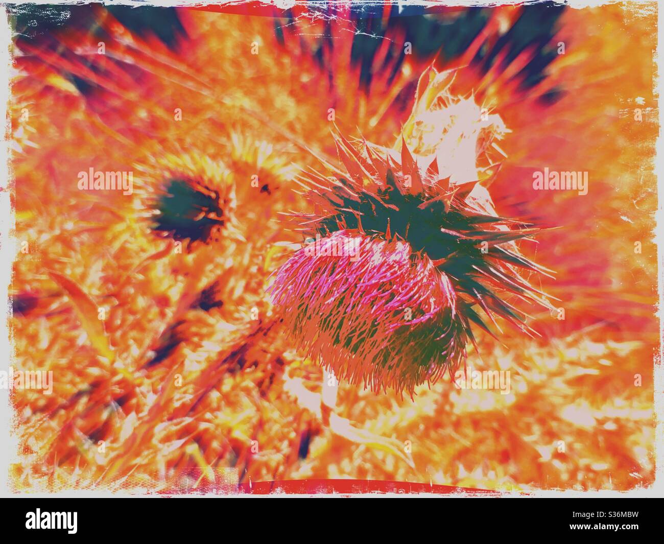 Fire effect hi-res stock photography and images - Alamy