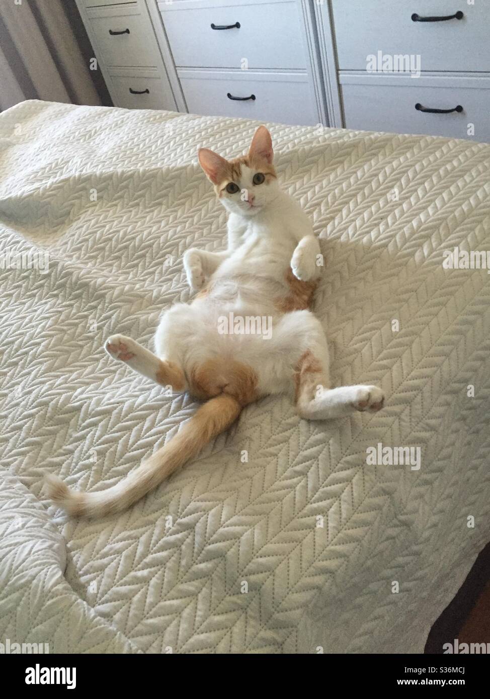 Crazy pose hi-res stock photography and images - Alamy