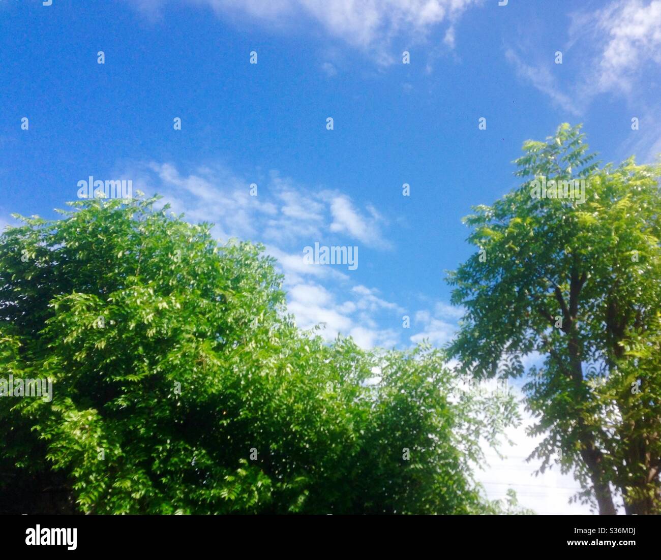 Angel sky tree hi-res stock photography and images - Alamy