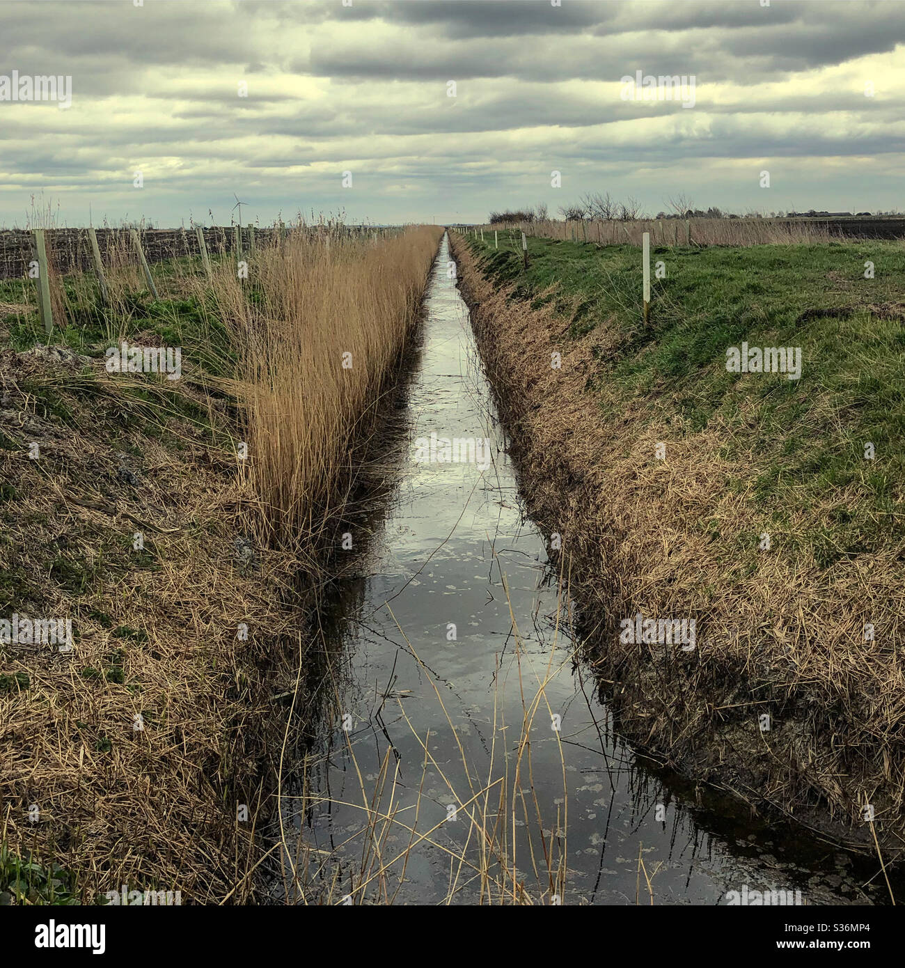 Fenland fields hi-res stock photography and images - Alamy
