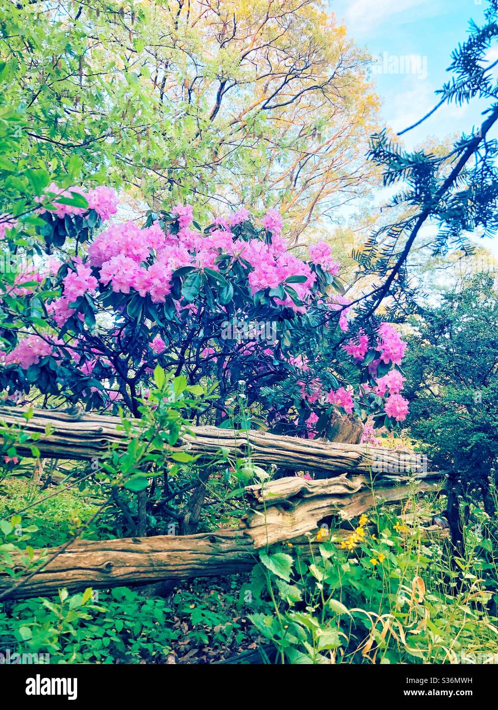 Colours of nature Stock Photo - Alamy