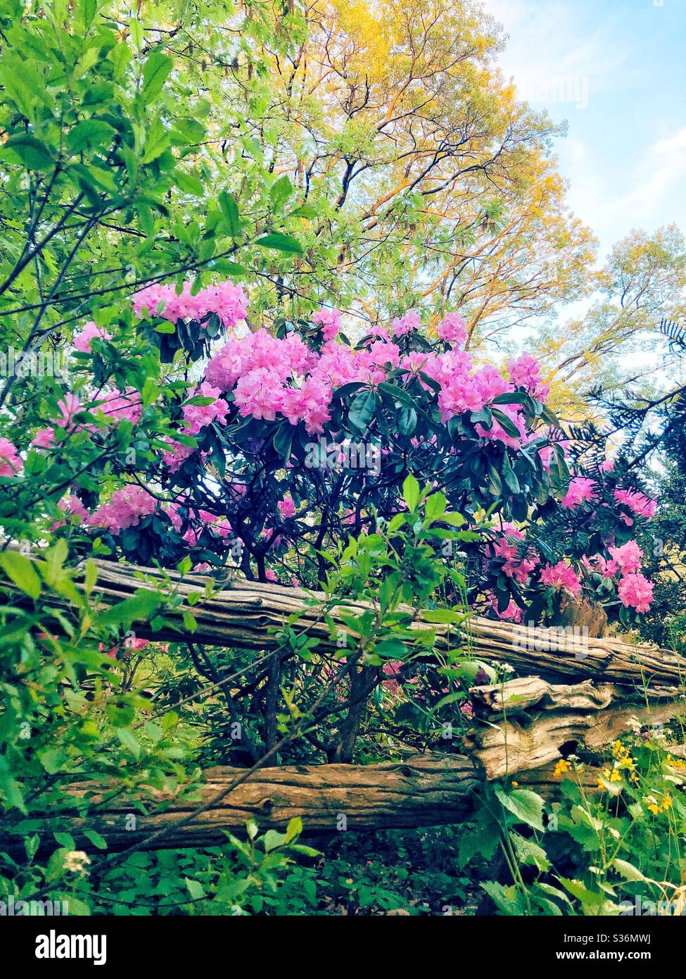 Colours of nature Stock Photo - Alamy