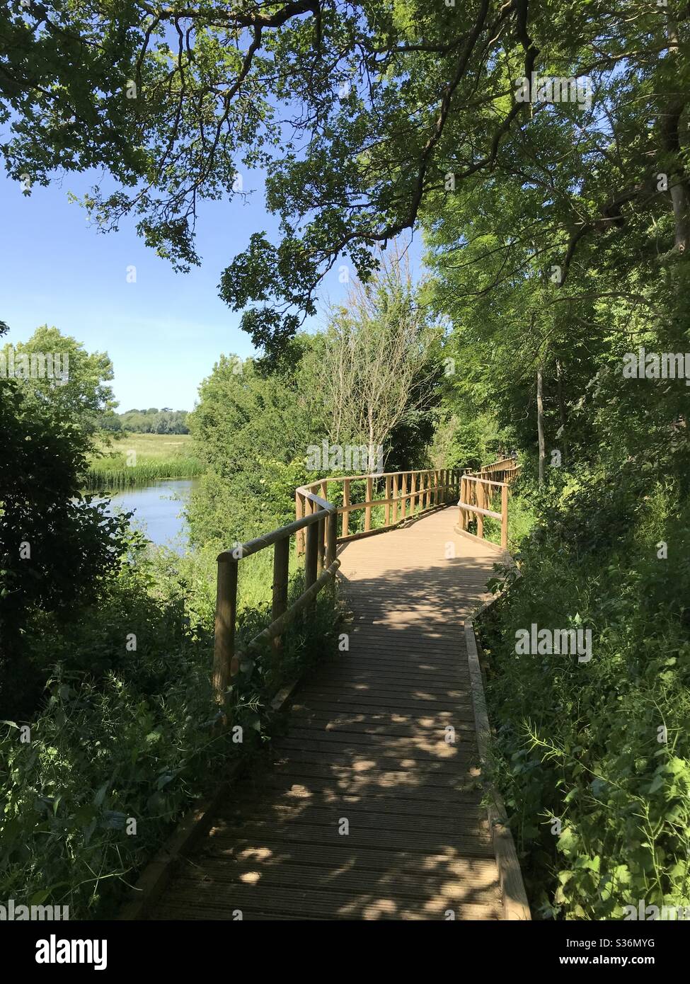 Boardwalk view hi-res stock photography and images - Alamy