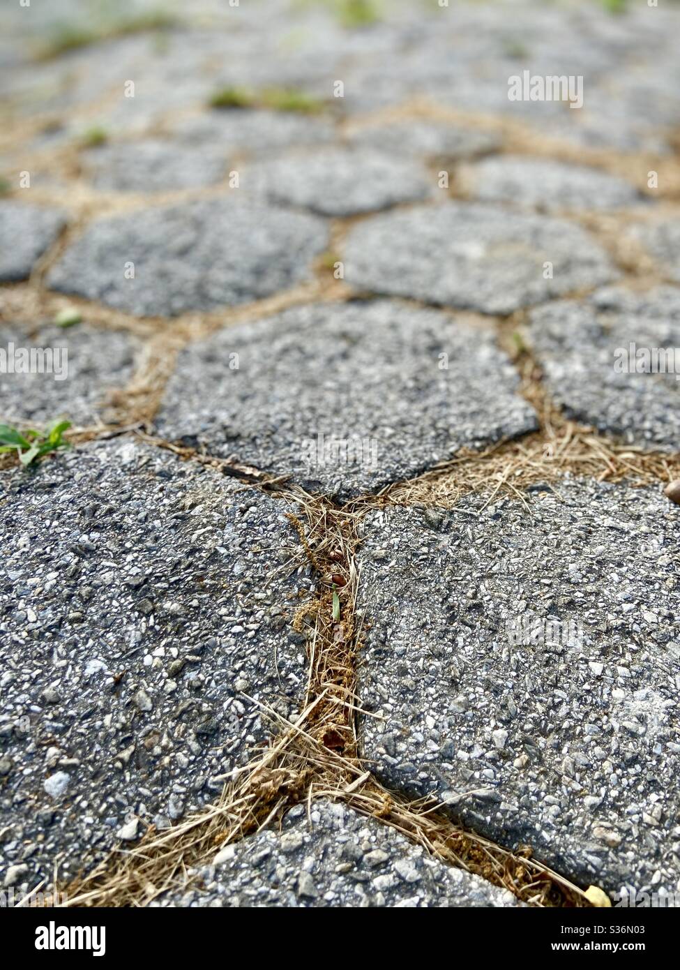 Cobblestones path hi-res stock photography and images - Alamy