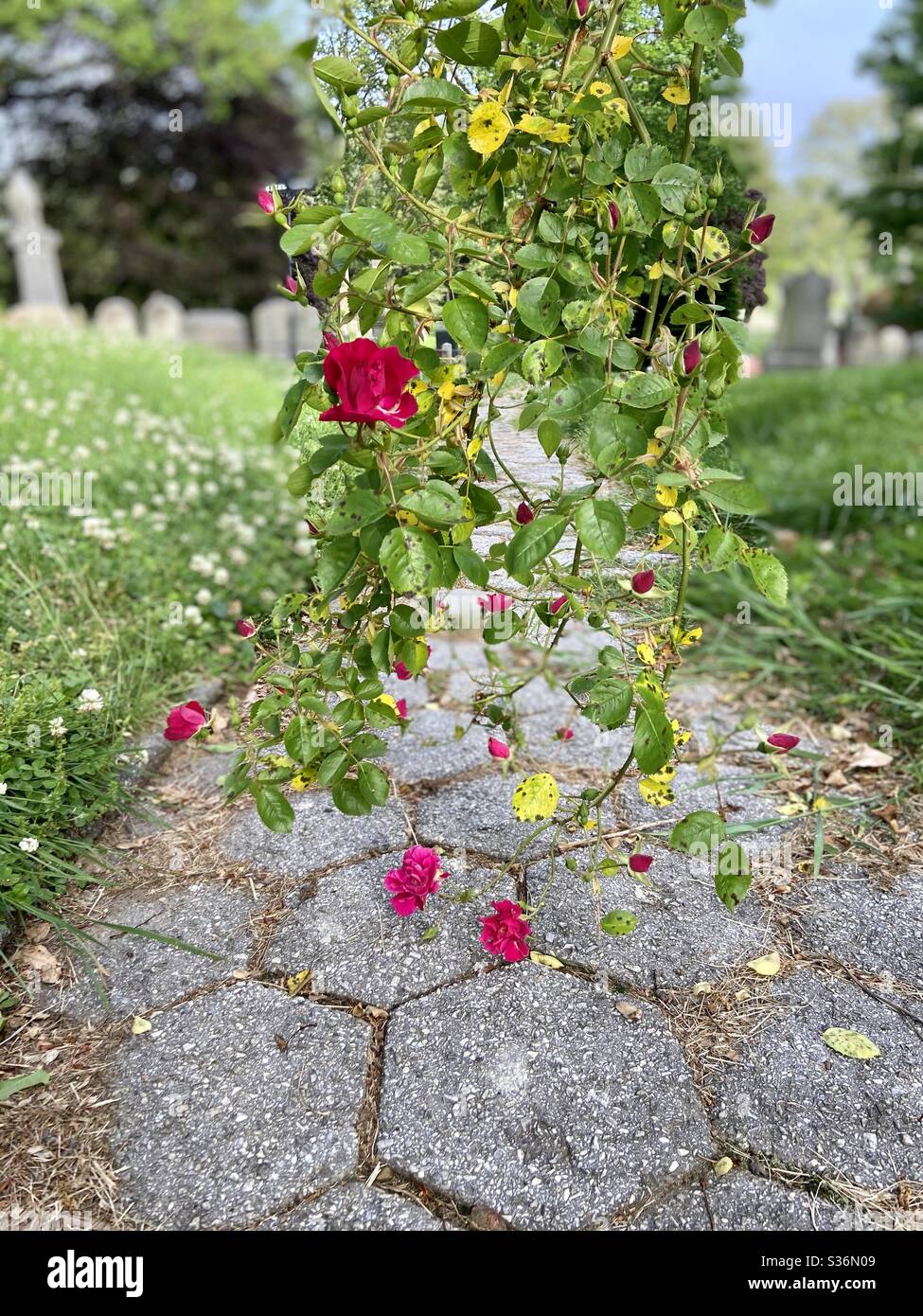 Hanging cemetery hi-res stock photography and images - Alamy