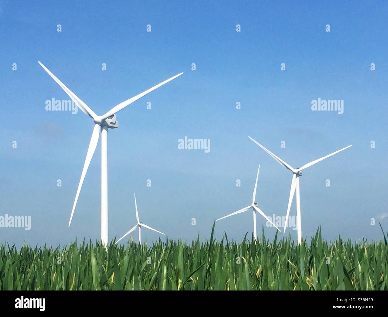 A wind farm with tall power generation wind turbines in the countryside ...
