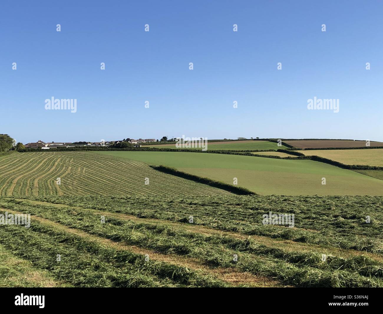 Farmers field Cut Grass Stock Photo - Alamy