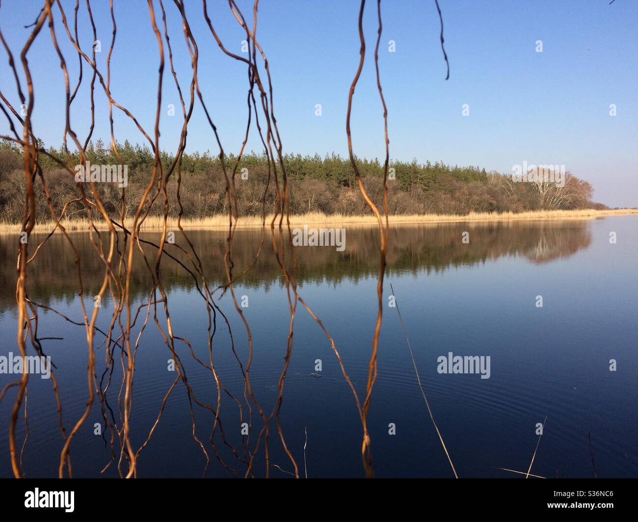 Blue forest treehouse hi-res stock photography and images - Alamy
