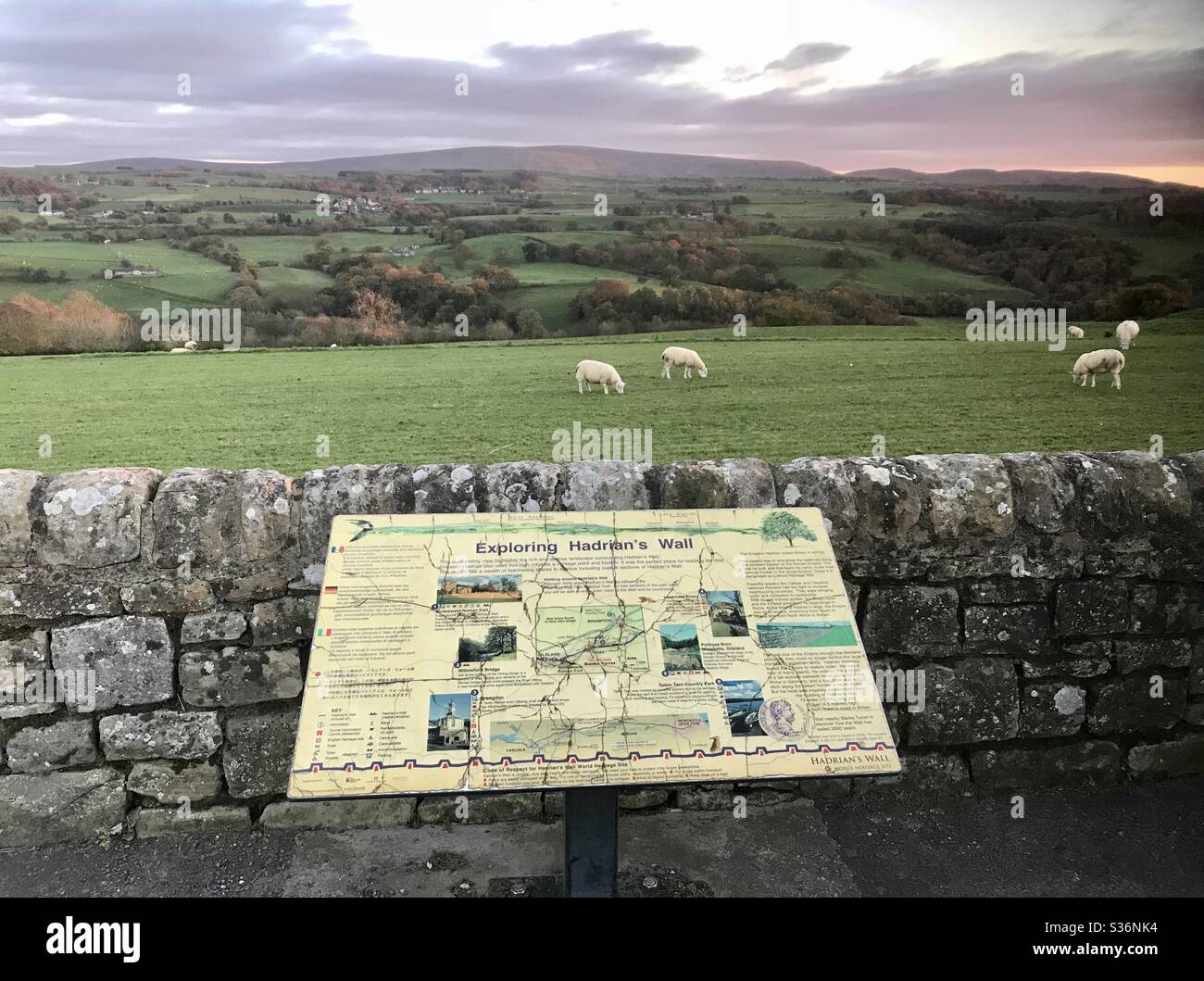 Exploring hadrians wall hi-res stock photography and images - Alamy