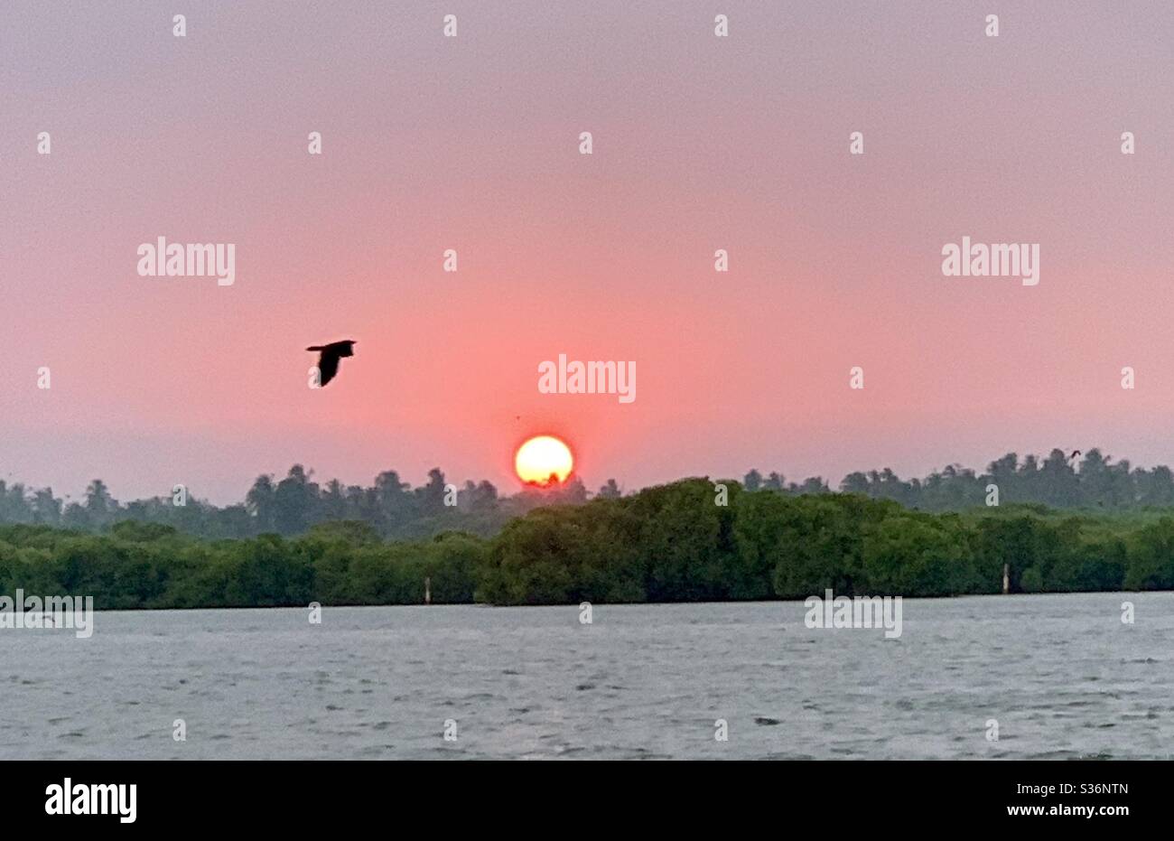Beautiful sunset over Negombo lagoon, Sri Lanka Stock Photo - Alamy