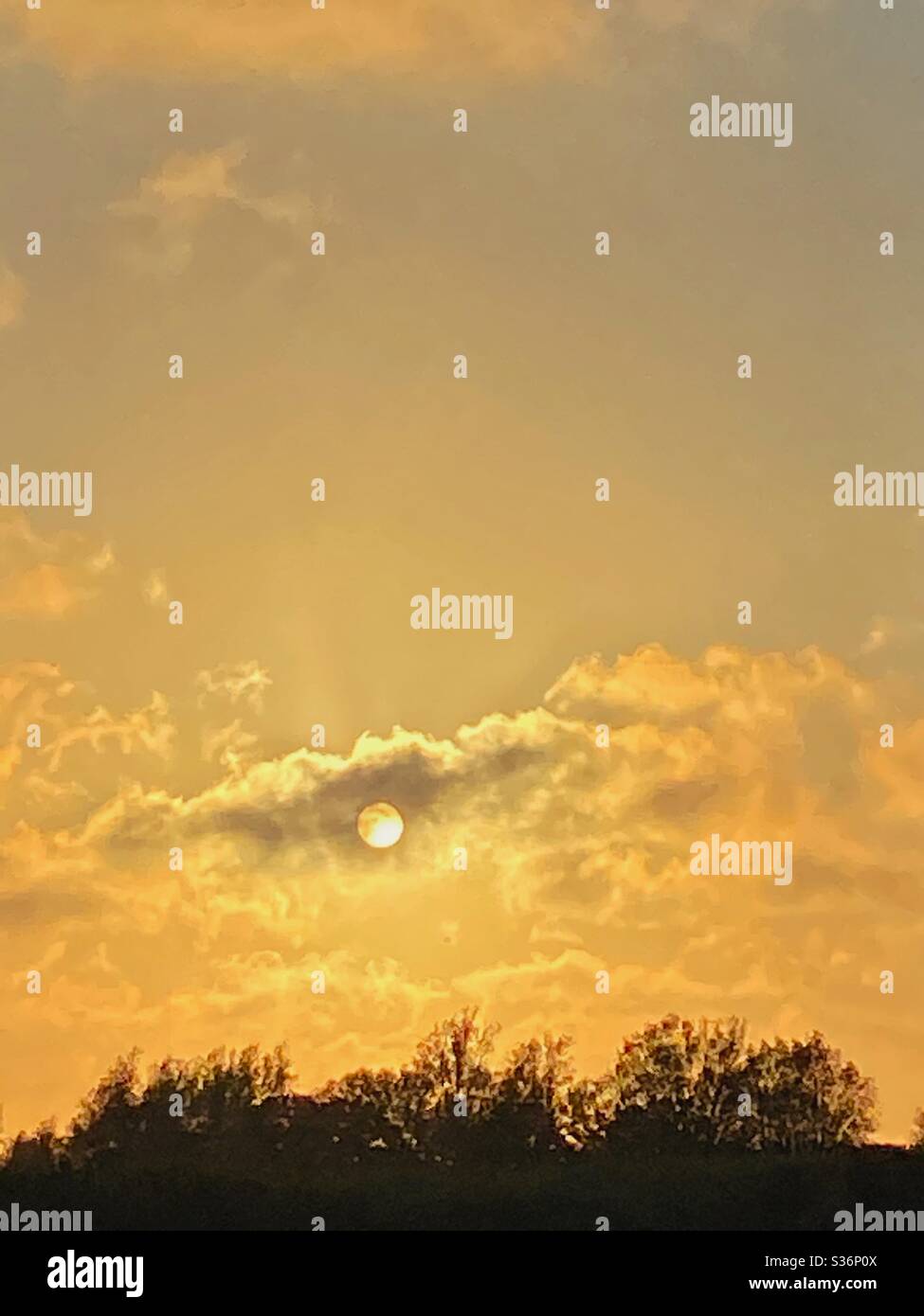 Golden sun hi-res stock photography and images - Alamy